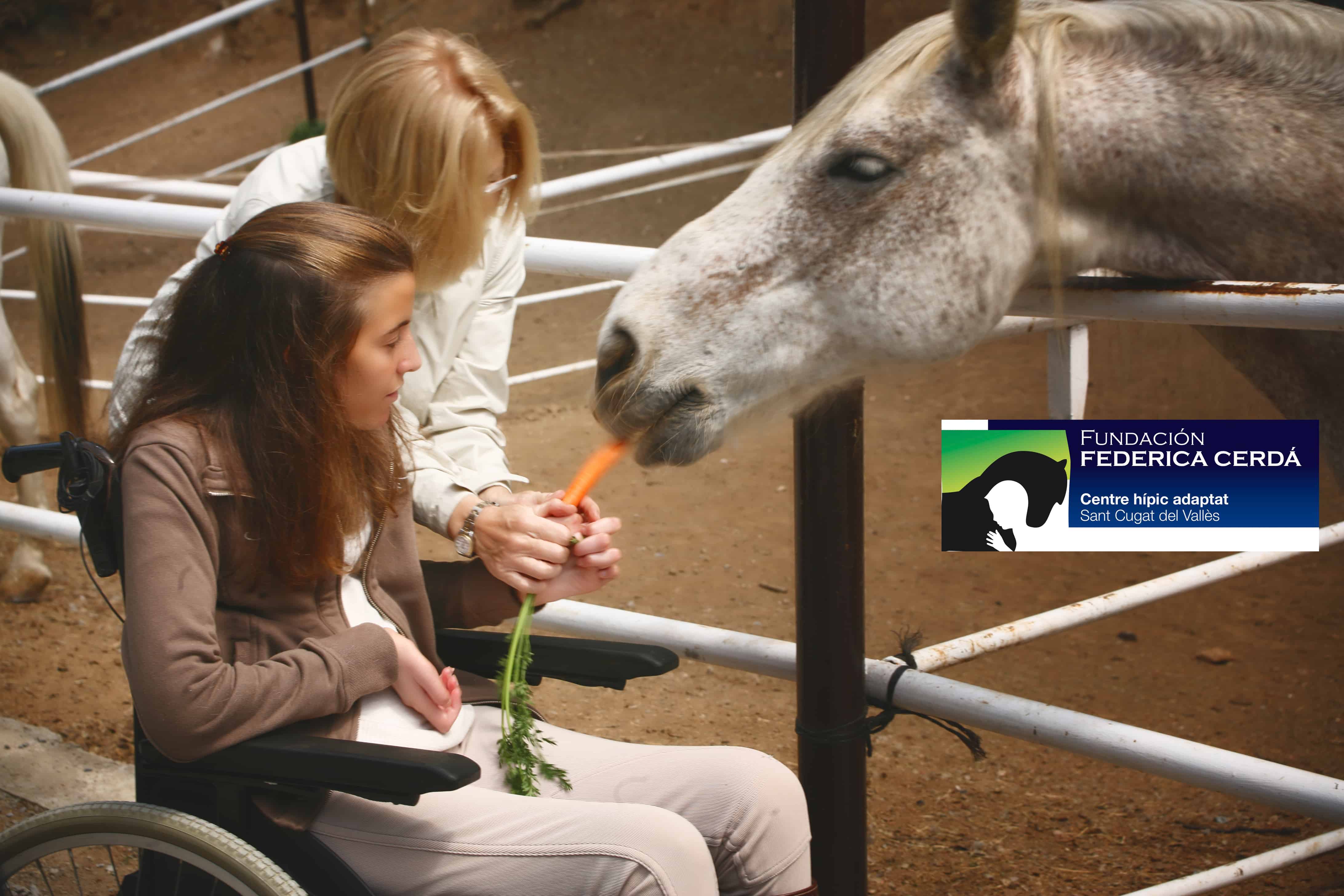 Acariciando Al Caballo Iniciamos La Hipoterapia Fundación Federica Cerdá